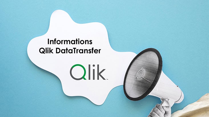 Qlik DataTransfer 2024 : informations et recommandations